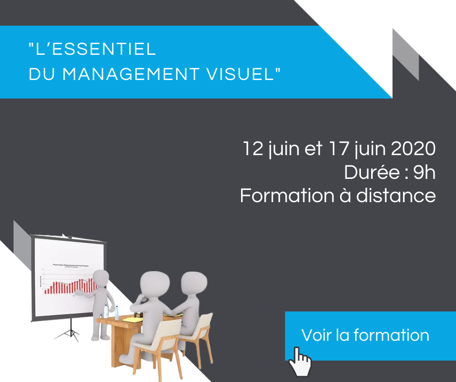 E-learning – formation à distance « l’essentiel du management visuel ...
